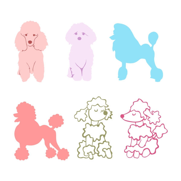 Poodle Cuttable Design | Apex Designs & Fonts